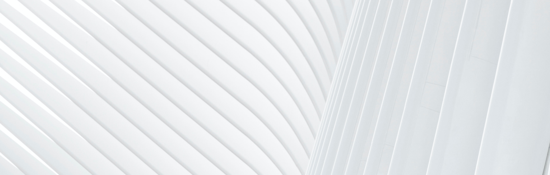 banner-cat - CDLAF